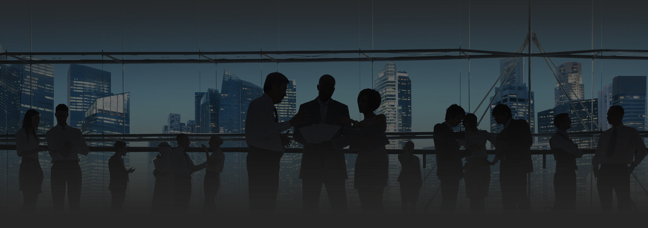 Partner – VI Markets